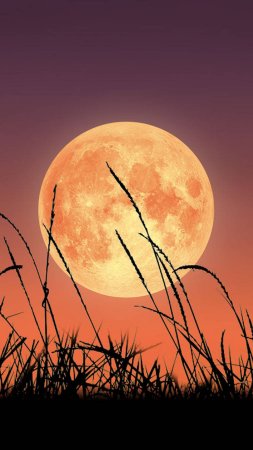 ✨ПОЛНОЛУНИЕ В КОЗЕРОГЕ. КАКИМ ЗНАКАМ ПРИГОТОВИТЬСЯ?✨ Контакты: floransia@yandex.ru