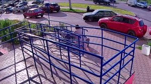 Место происшествия 11.07.25