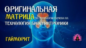 Гайморит ⚠️ Оригинальная матрица по технологии Гаряева П.П ☀️ SoftRadio.ru