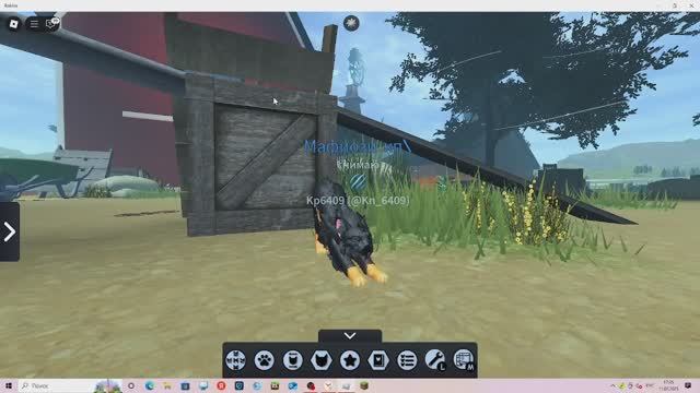 показываю свои фиговые скинасики из КВ\коты воители а не коты водители -.-\