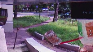 В прокуратуру Москвы Под окном 2025 июль 04 - 06 нарушения ПДД и САНПИН