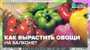 Почему садоводство снова в тренде?|Миллион вопросов — Москва 24|Контент