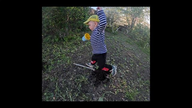Сажаем картошку с семьей