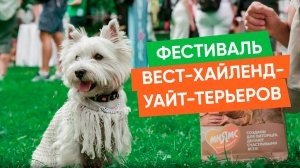 Праздник для белоснежных вест-хайленд-уайт-терьеров!