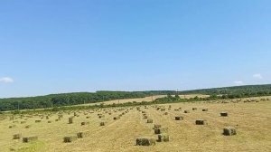 Про сено или солому.Без звука и мата