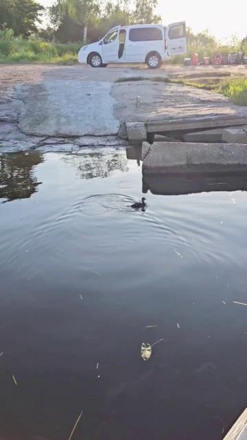 Булочка