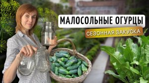 Малосольные огурчики - холодный засол