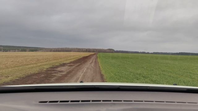 Дорога