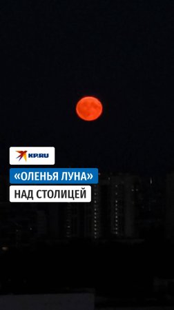 «Оленья луна» во всей красе: жители столицы засняли полнолуние