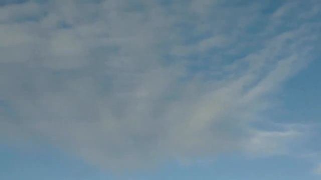 Последний день флэш-моба