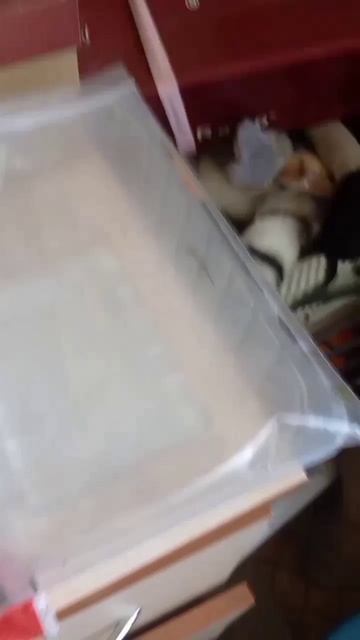 Меняю аквариумным рыбкам воду