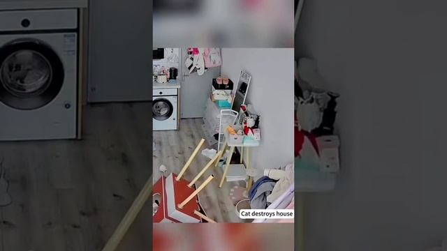 Ещё больше котиков в канале https://t.me/cotorai