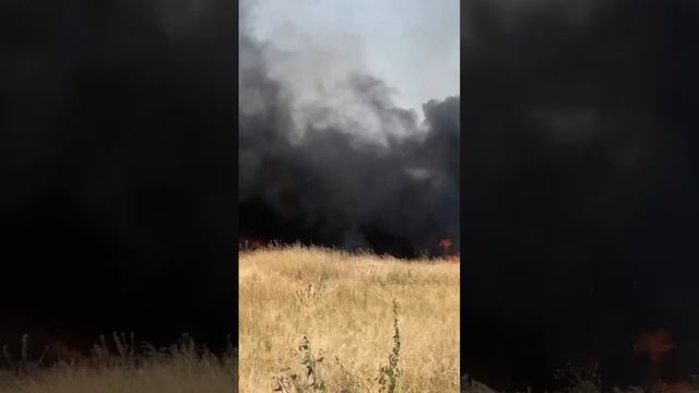 Горит гороха Ставрополе  загорелось поле с горохом