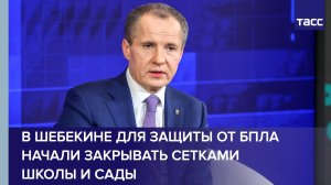 В Шебекине для защиты от БПЛА начали закрывать сетками школы и сады
