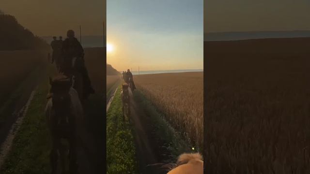 Конюшня казачок теперь в нашем городе, на следующих выходных буду там отдыхать, класс.