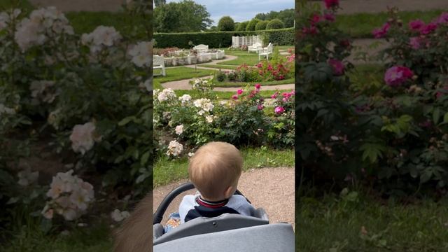 ✨В усадьбе Кусково