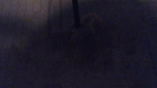 За ник "Молодой Гранит" / завершение