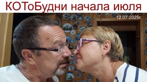КОТоБудни начала июля: Жара, гроза, громы и молнии, праздники и подарки - всё, как обычно, 12.07.25