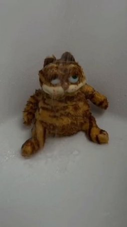 Ещё больше котиков в канале https://t.me/cotorai