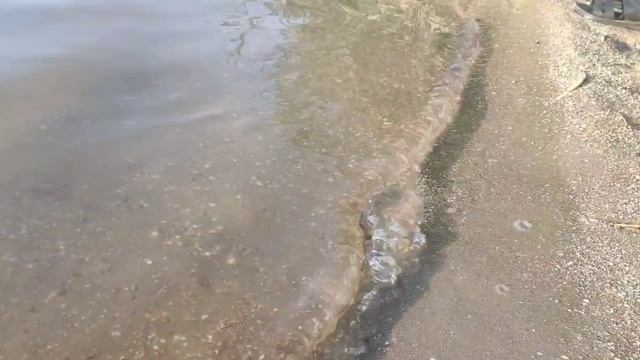 Дарьевский пруд - бесплатная зона, волны у берега