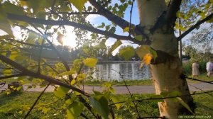 Удивительный вечер. Играю на гуслях. Город Богородск, 2025.07.12. Светлозар Чукотский