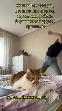 Ещё больше котиков в канале https://t.me/cotorai