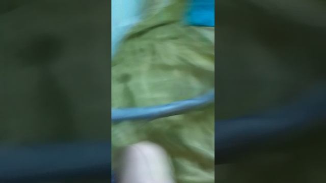 милый котик 7 серия 4 сезона