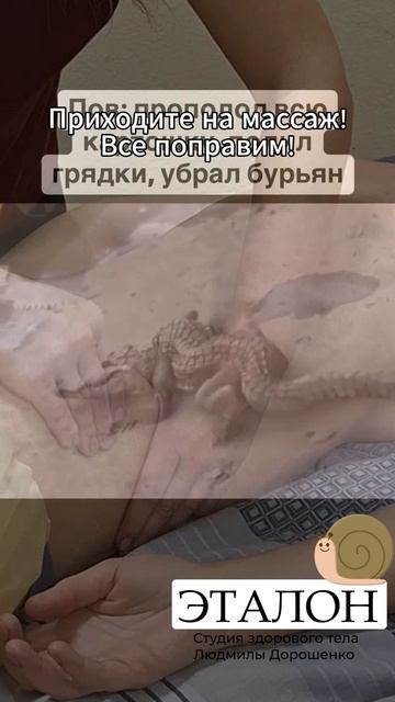 Юмор