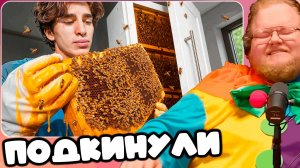 T2x2 СМОТРИТ Выращиваю 10 000 пчёл (у себя дома) ► ПОДКИНУЛИ