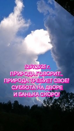 ПРИРОДА СИГНАЛИТ... #юмор #прикол #хорошеенастроение #природа #настроение #деревня #дача