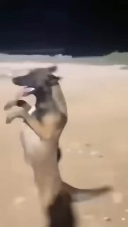 Танцуют все!!!😜