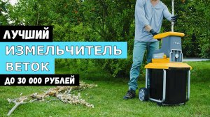 Лучший ИЗМЕЛЬЧИТЕЛЬ веток до 30 000 рублей