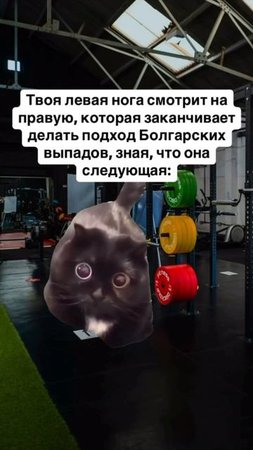 Ещё больше котиков в канале https://t.me/cotorai
