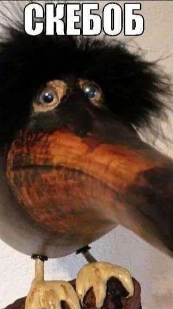сборник скибобов