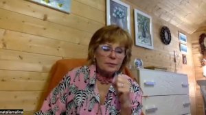 🔬 Действия по результатам диагностики Медицины Многомерного Генома. 8 первичных клеток