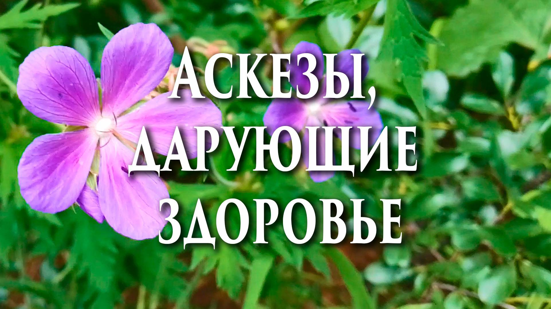 🌈Аскезы, дарующие здоровье. О.Г.Торсунов