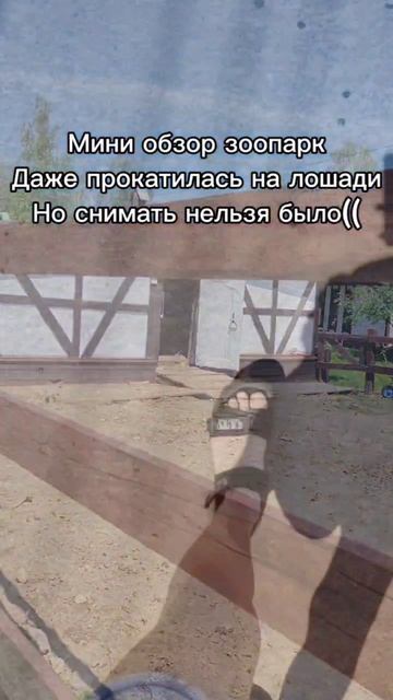 Зоопарк)