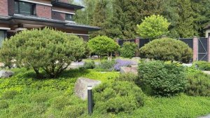 Green Space: Почвопокровные растения, которые меняют правила игры