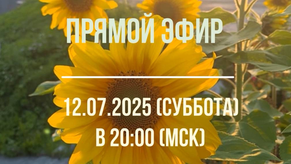 Анонс эфира 12.07.2025