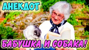 Анекдот про бабушку и собаку