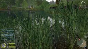 играю в рыбалку