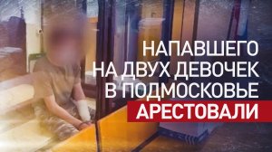 Суд выдвинул обвинение напавшему на двух девочек в Подмосковье подростку