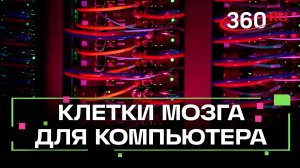 Компьютер на основе клеток мозга человека и возможностей ИИ создали в Австралии