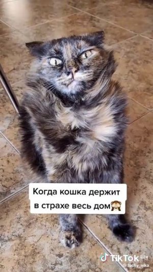 7ec95b7387ea9ed80521a635e9d9203d_1752244941293.mp4