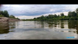 Природа. Михайловский район. Волгоградская область #природа