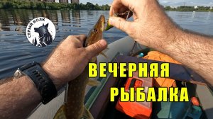 Вечерняя РЫБАЛКА