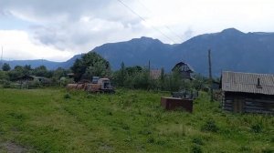 Алтай, Телецкое озеро и следы медведя на кордоне Беле 28 июня 2025 г