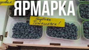 Ярмарка Выходного дня в станице Краснодарского края