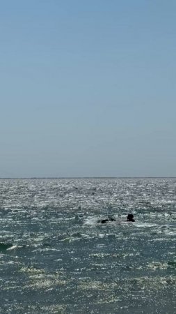 IMG_8669