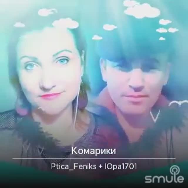 Жуки - Комарики